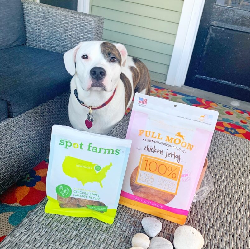 Absolute Best Natural Dog Treats - Guy and the Blog